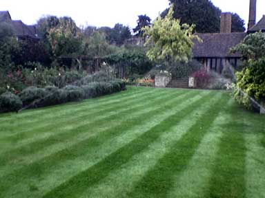 Individual Watering Needs - Waterscape Solutions UK